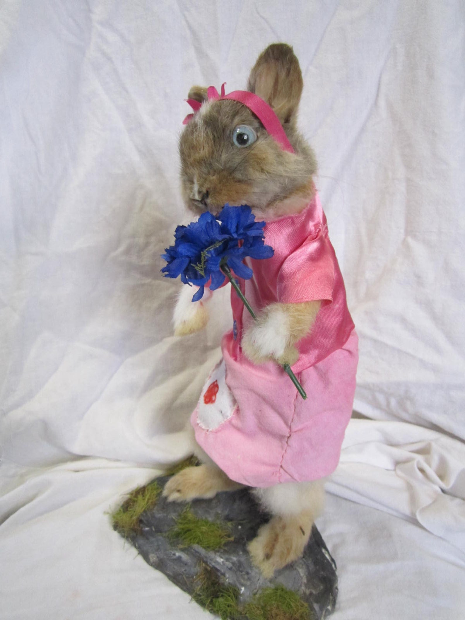 Taxidermy Rabbit Tale Flower Bouquet Rodent Taxidermy Rabbit | Etsy