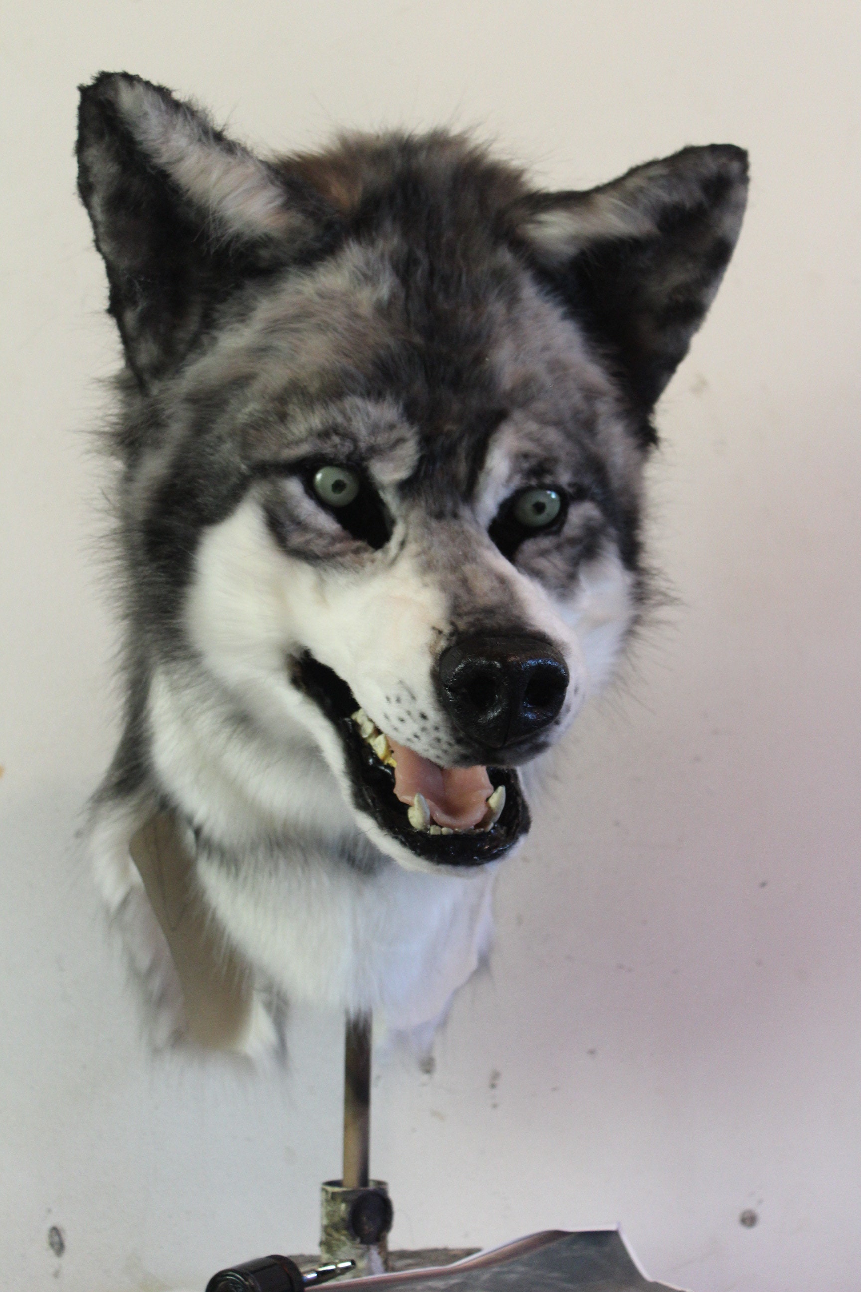 Grey Wolf Mask Fursuit Mask Wolf Fursuit to Book | Etsy
