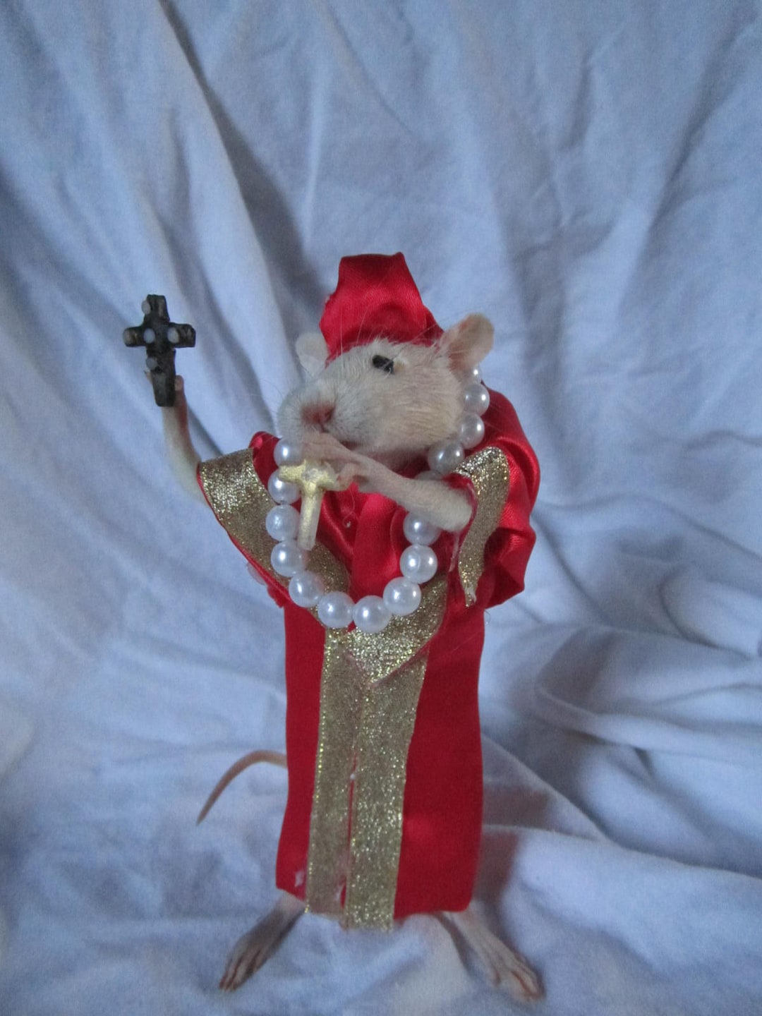 Taxidermy Curiosity Rat Cardinal Taxidermy Rat Cabinet of Curiosities ...