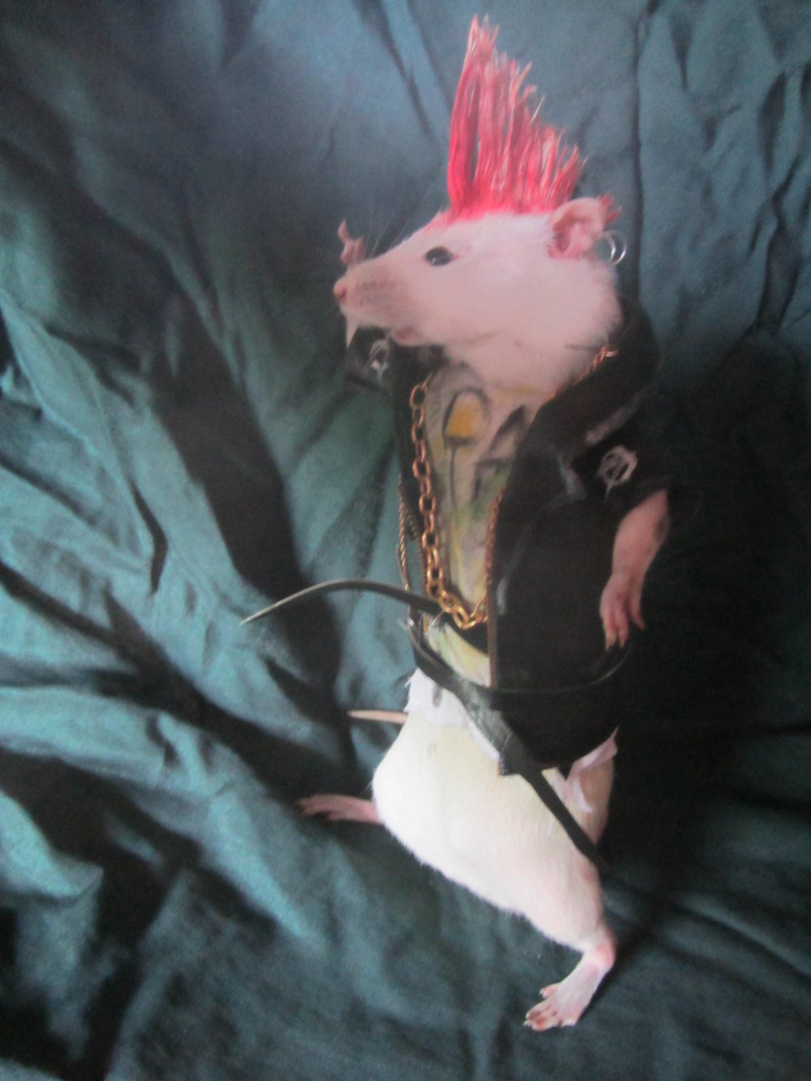 Taxidermy Rat Punk Taxidermy Rat Punk Cabinet of Curiosities Oditties ...