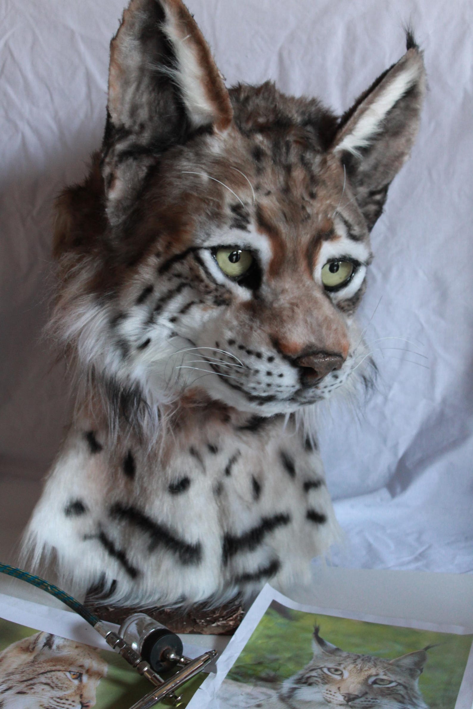 Lynx Fursuit Mask. Realistic Fur Costume. Lynx Fursuit Head. Halloween ...