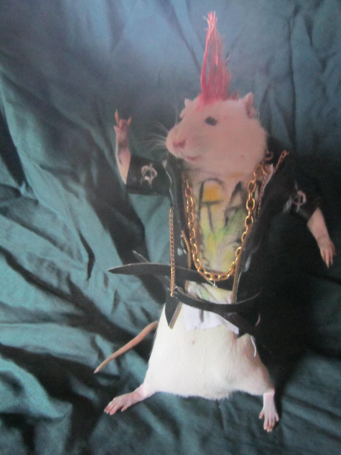 Taxidermy Rat Punk Taxidermy Rat Punk Cabinet of Curiosities Oditties ...