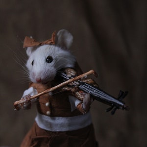 Taxidermy Mouse Musician Violinist Taxidermy Mouse Cabinet of ...