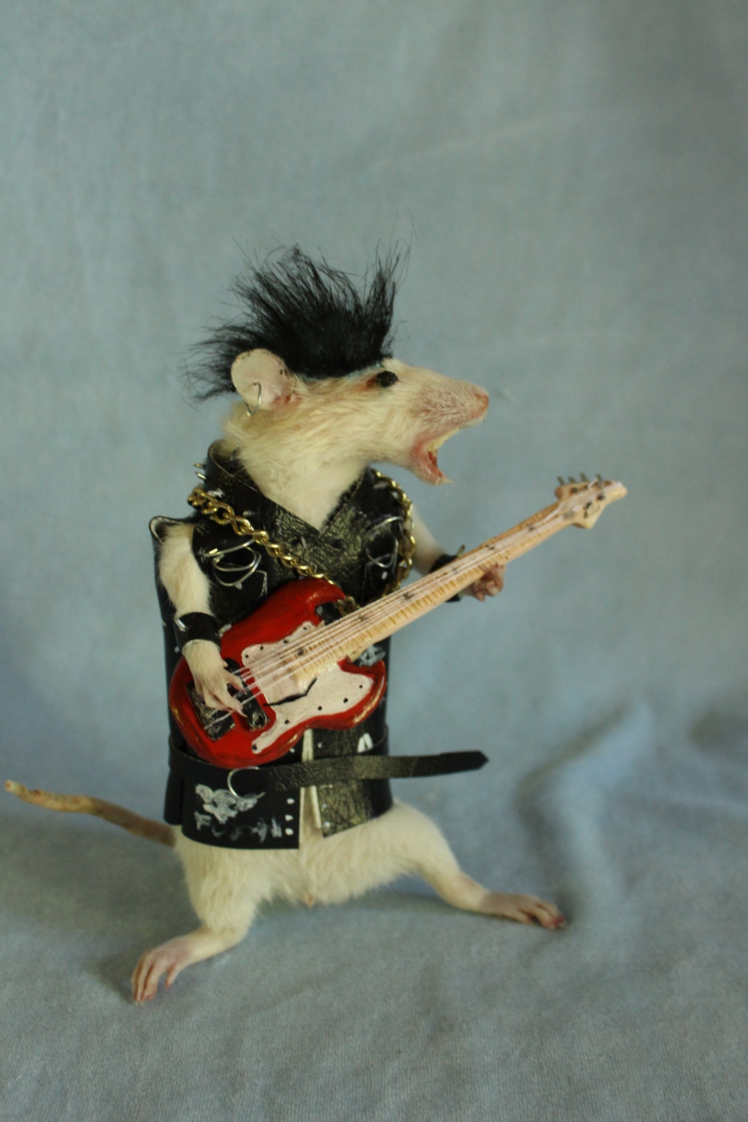 Taxidermy Rat Punk Guitar Rock Star Taxidermy Rat Punk Rocker Cabinet ...