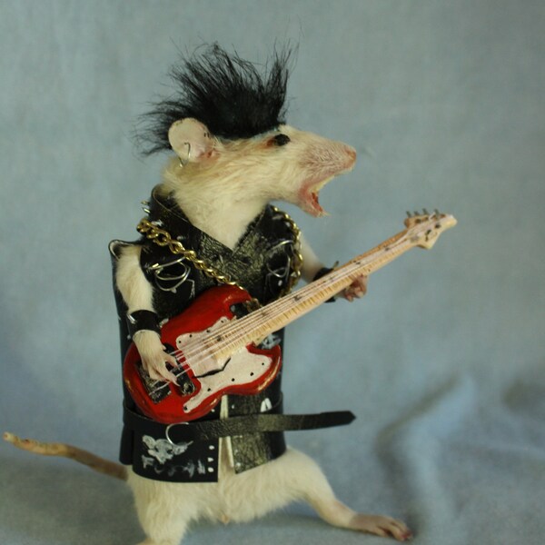 Taxidermy Rat - Etsy
