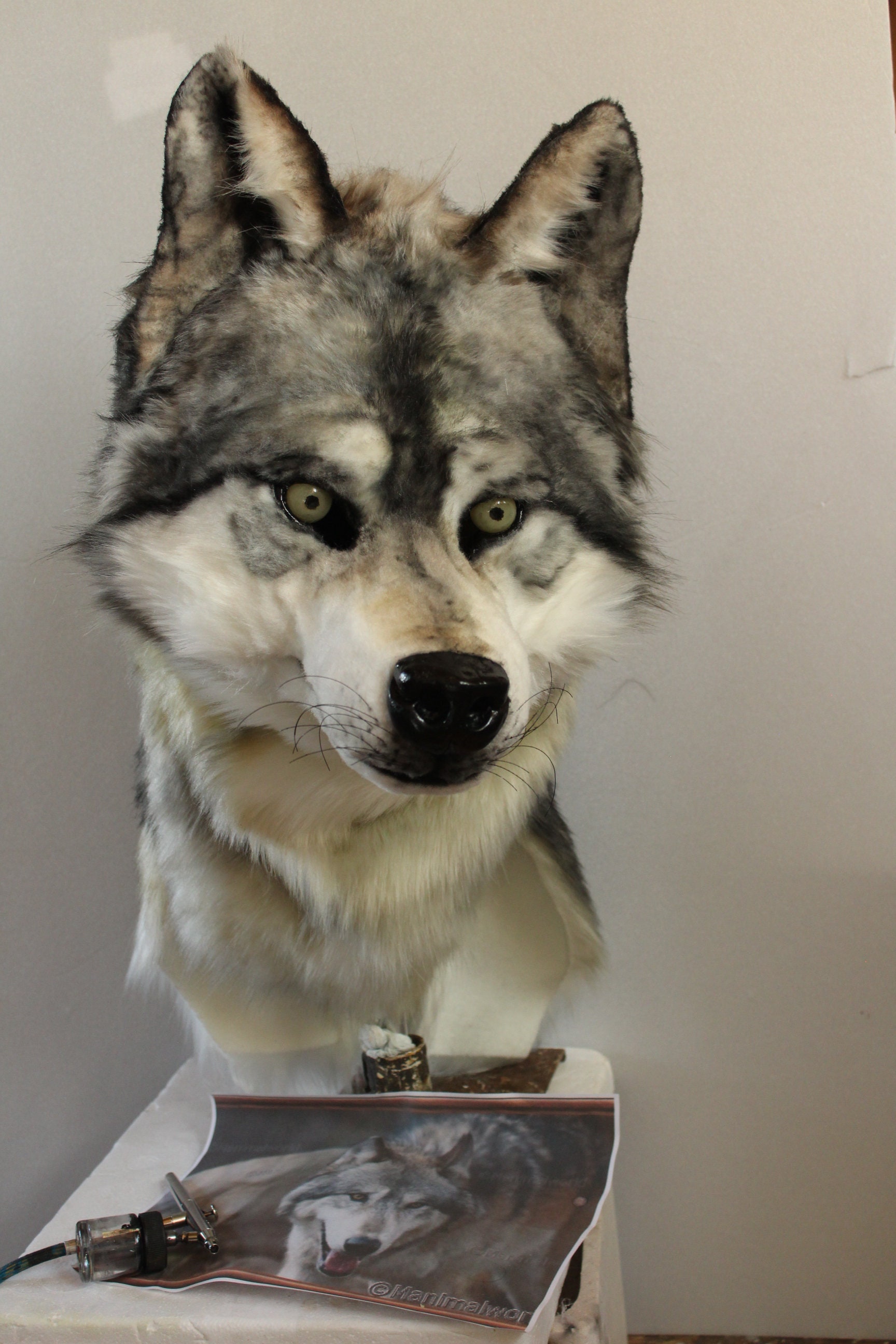 Grey Wolf Mask Fursuit Mask Wolf Fursuit to Book - Etsy UK