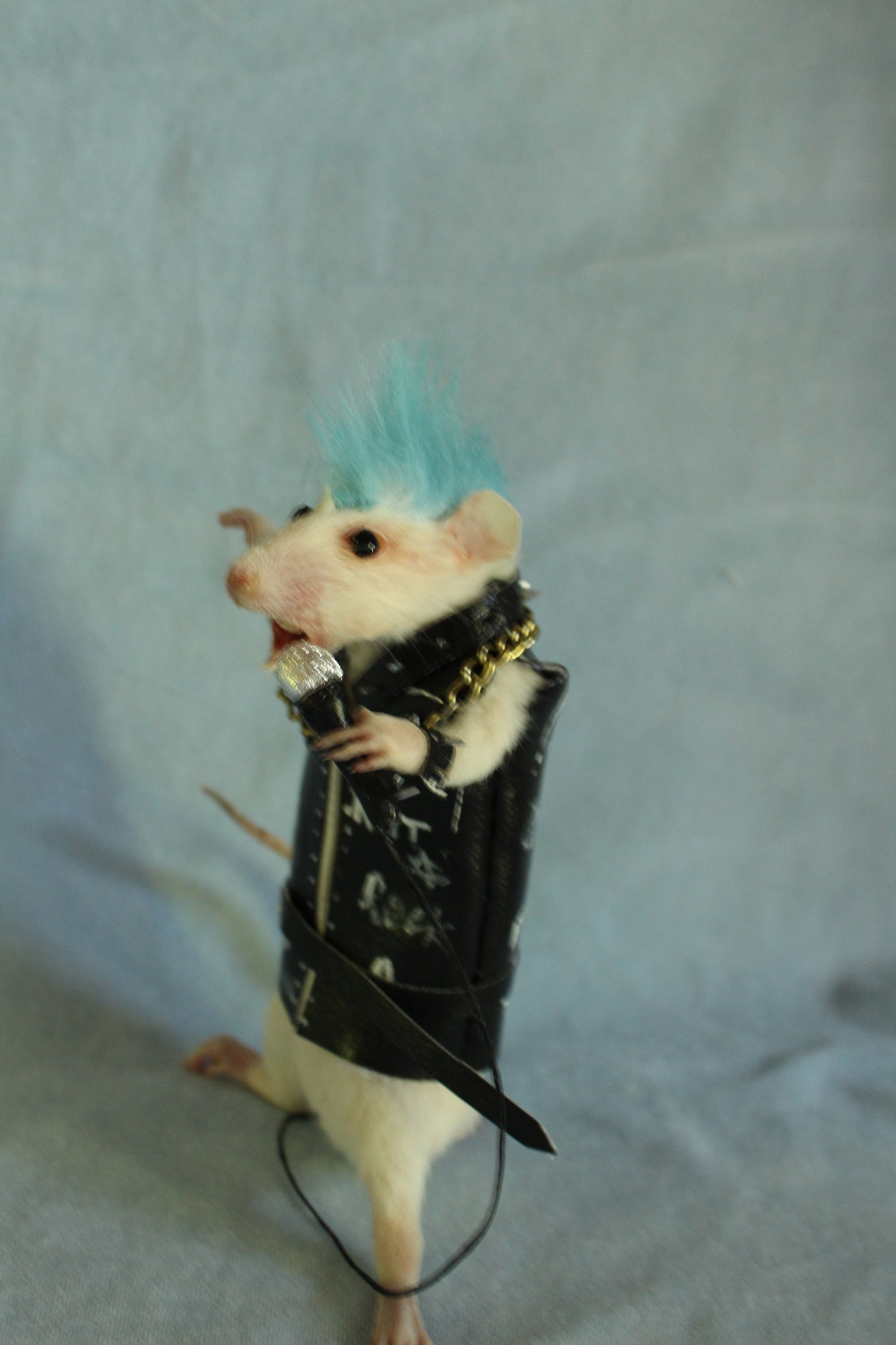 Taxidermy Rat Punk Rock Star Taxidermy Rat Punk Rocker Cabinet of ...