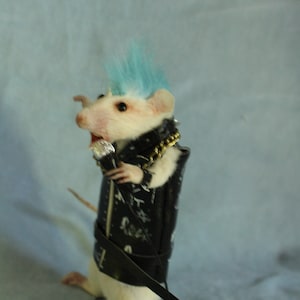 Taxidermy Rat Punk Rock Star Taxidermy Rat Punk Rocker Cabinet of ...