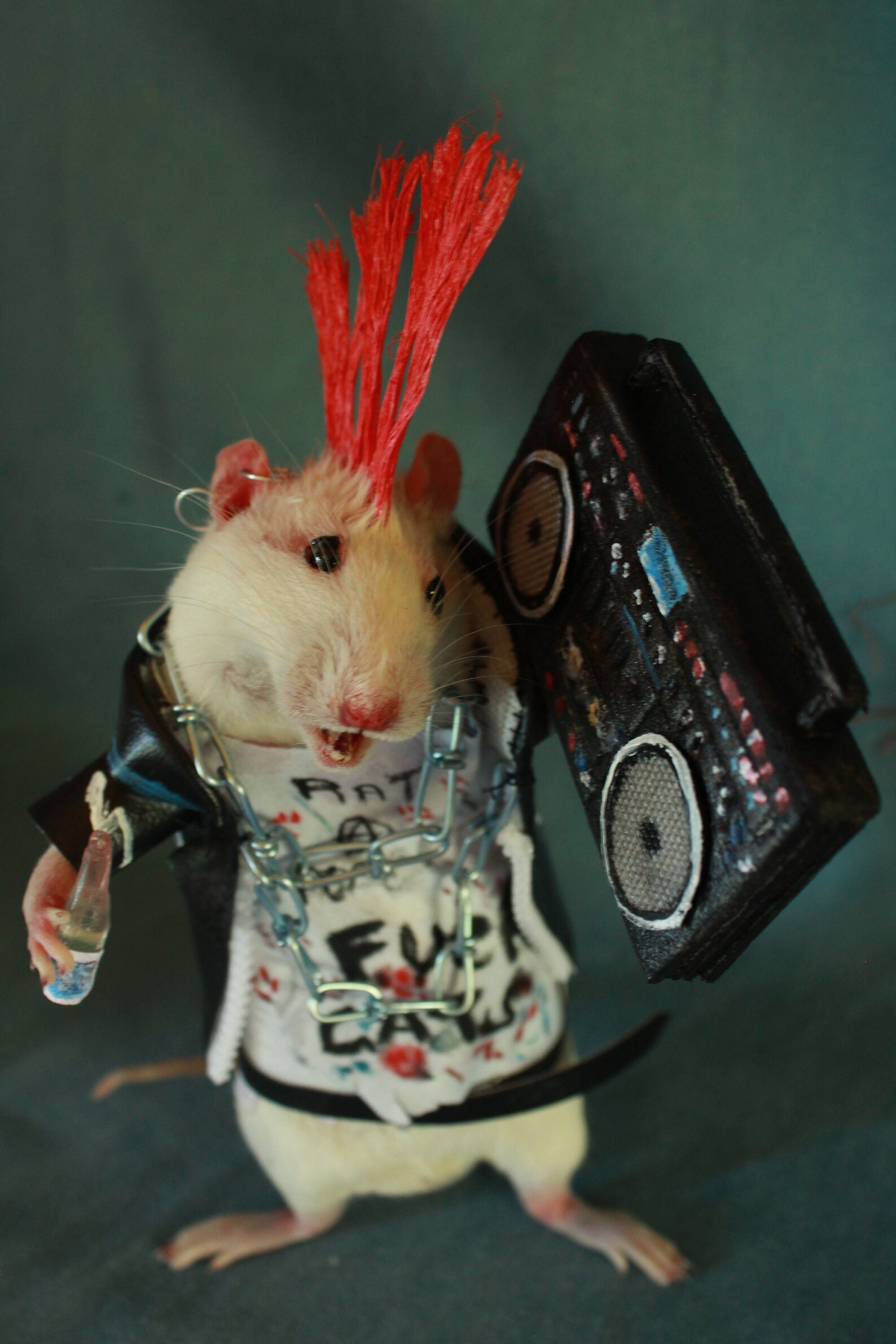 Taxidermie Rat Punk Radio Taxidermy Rat Punk Cabinet of - Etsy