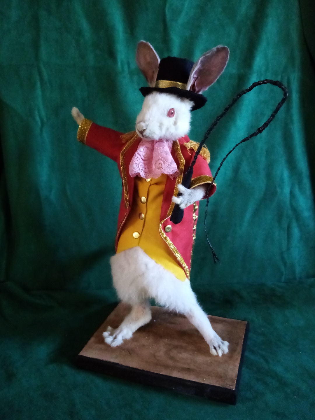 Taxidermy Rabbit Loyal Circus Ringmaster Rodent Taxidermy Rabbit ...