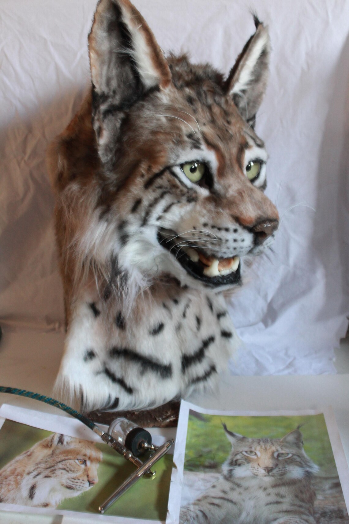 Lynx Fursuit Mask. Realistic Fur Costume. Lynx Fursuit Head. Halloween ...