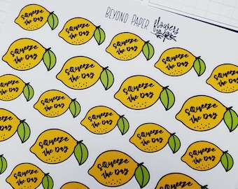 Squeeze the Day Stickers - Etsy