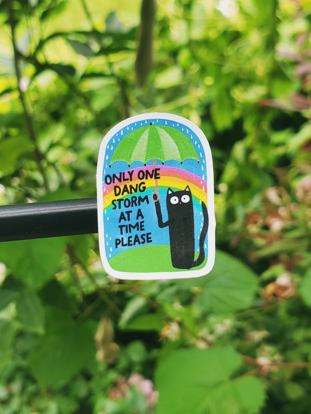 Only One Dang Storm Please Deco Stickers - Etsy