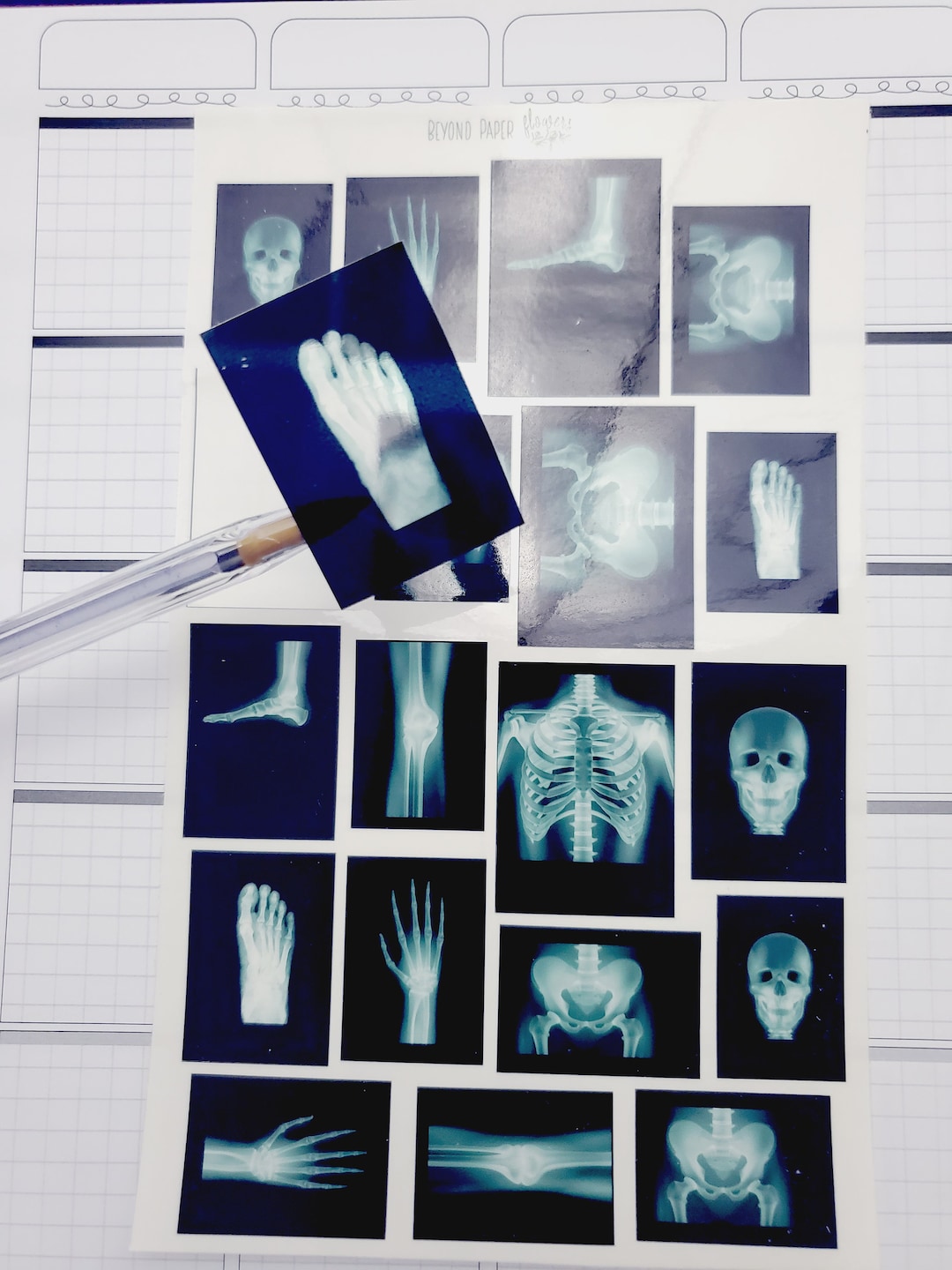 Clear Xray Square Stickers - Etsy