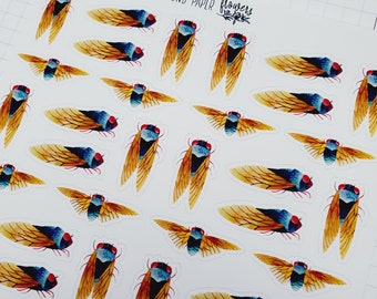 Cicada Sticker live Fast, Die Loud, and Leave a Beautiful Exoskeleton ...