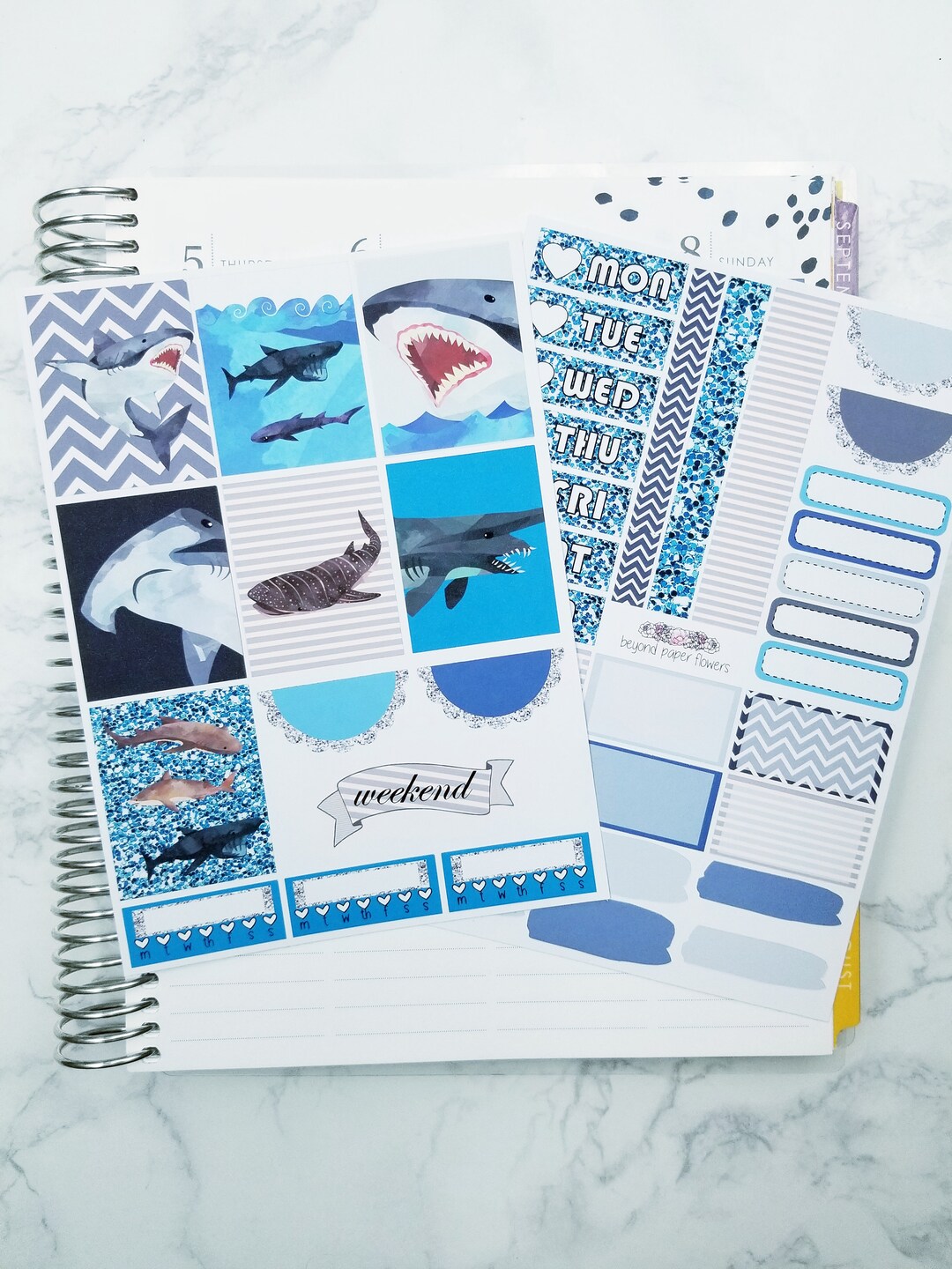 SHARK Attack Weekly Kit - Etsy
