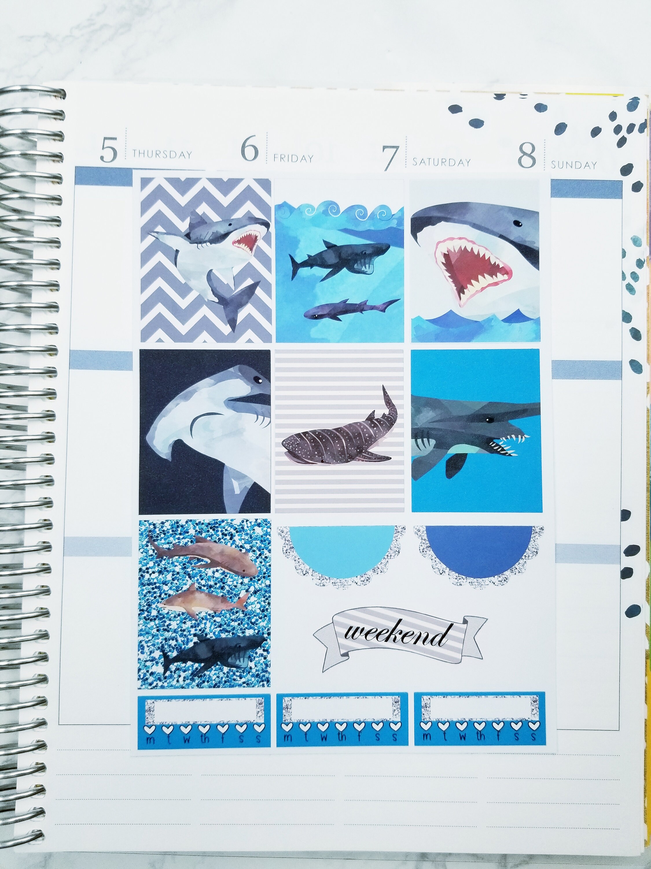 SHARK Attack Weekly Kit | Etsy