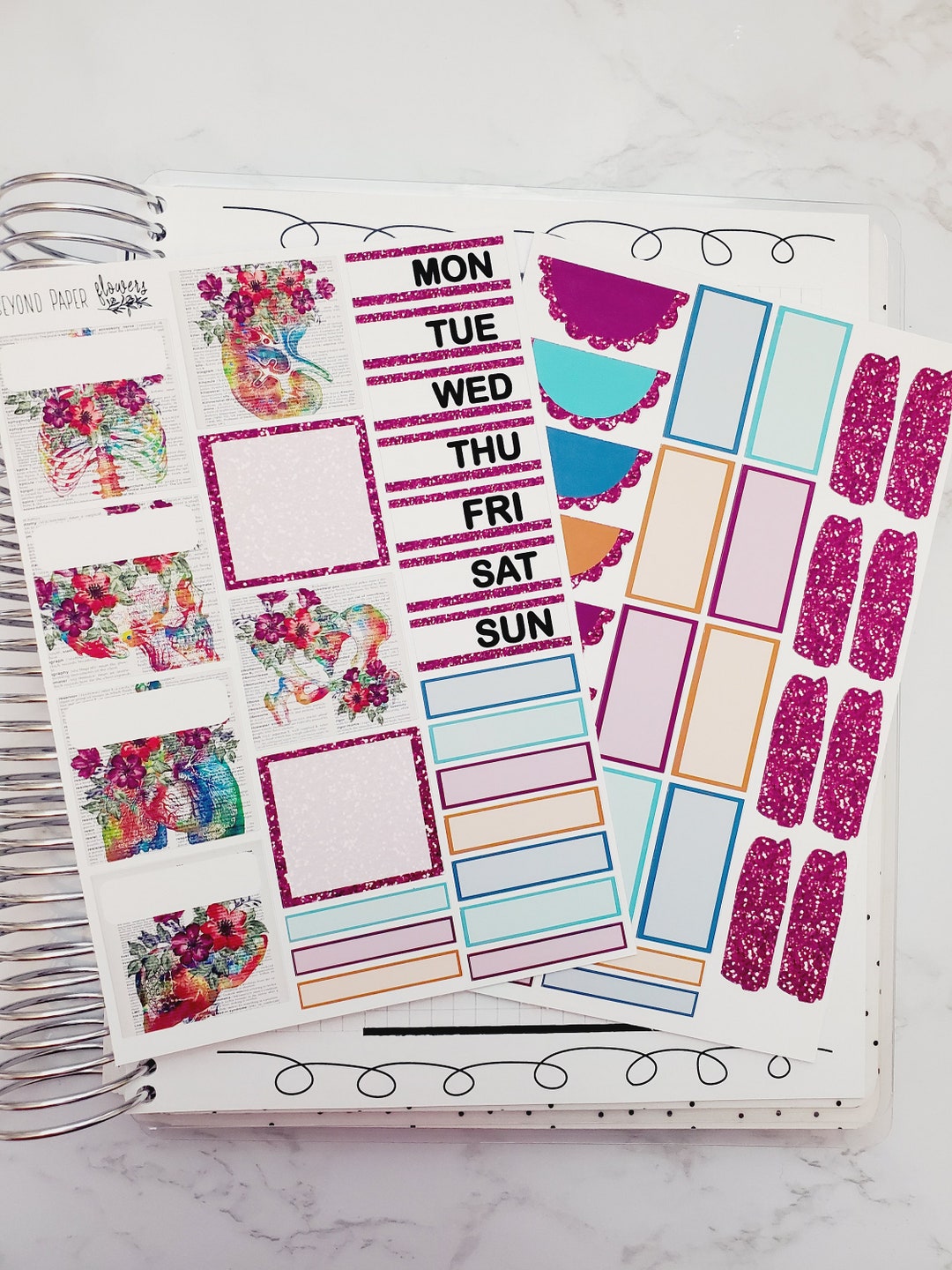 Academic Planner/b6 Beautiful Anatomy Weekly Kit - Etsy