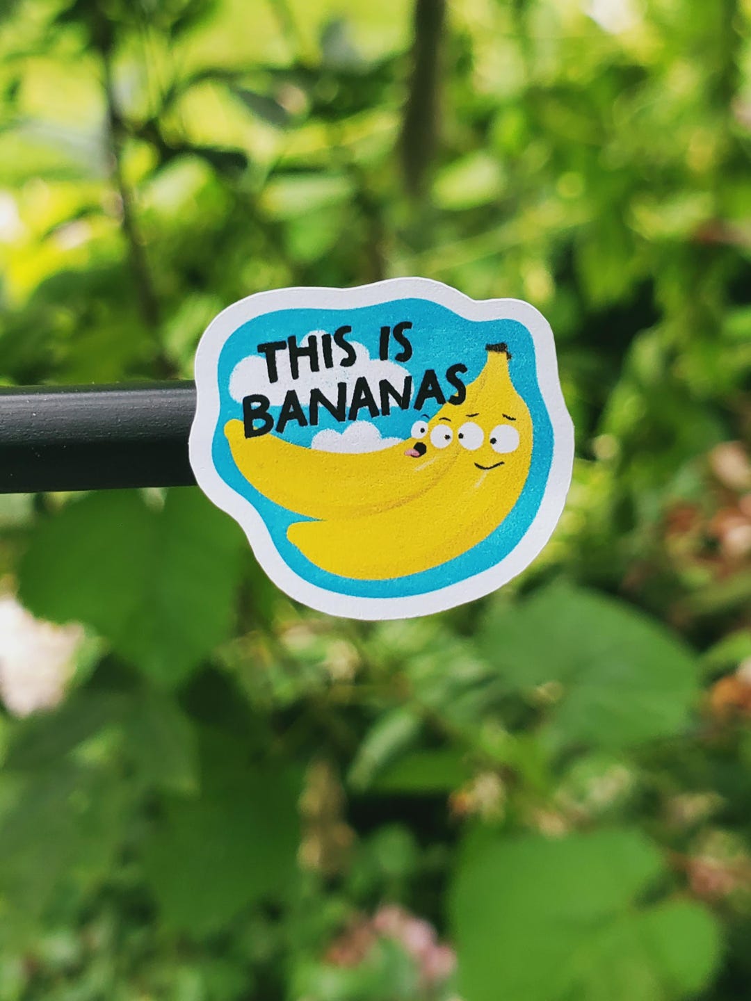 This is Bananas Deco Stickers - Etsy