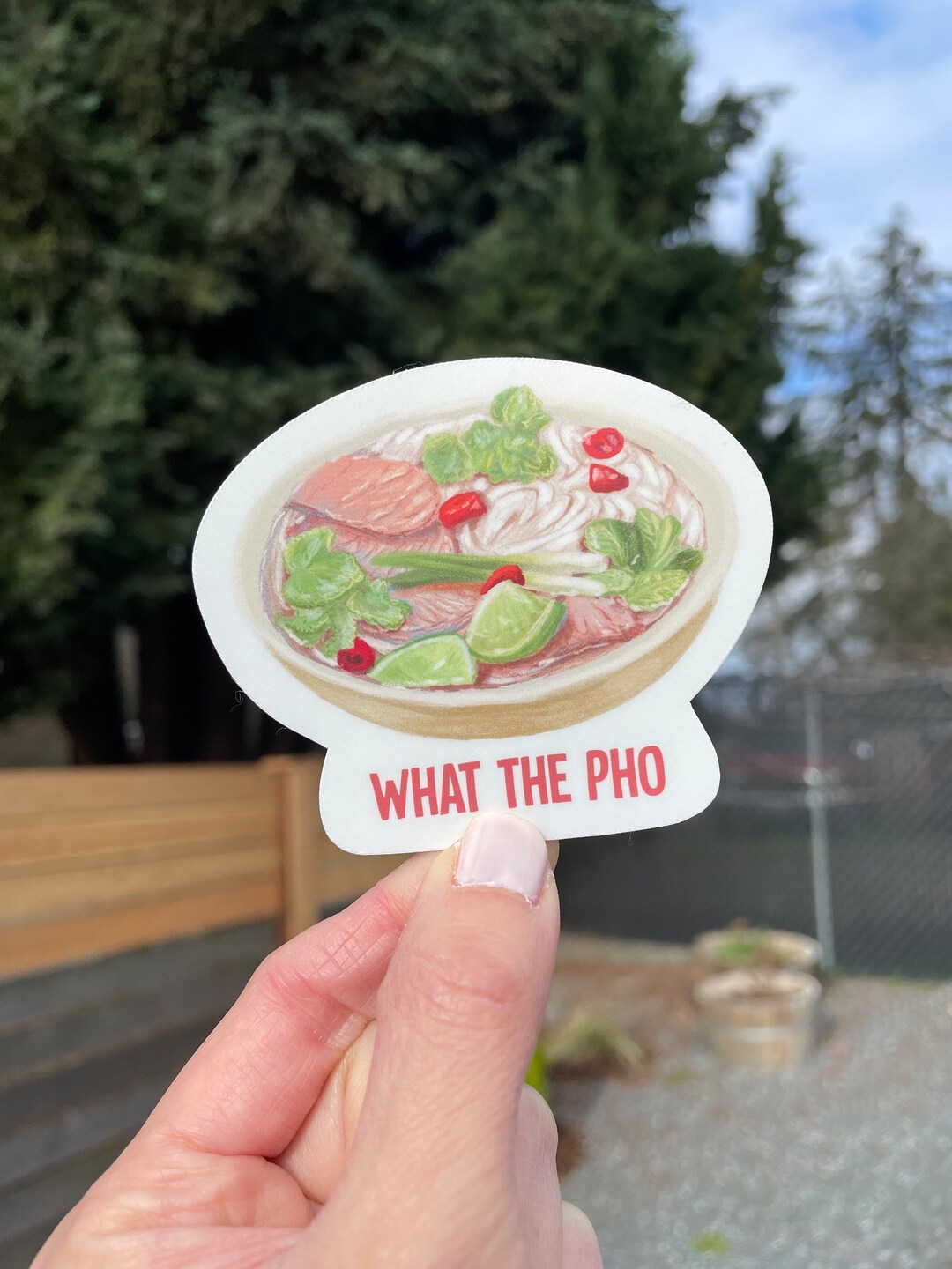 Pho Sticker| What the Pho Sticker| Food Sticker| Asian Food Sticker ...