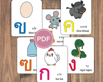 Thai Flash Cards - Etsy