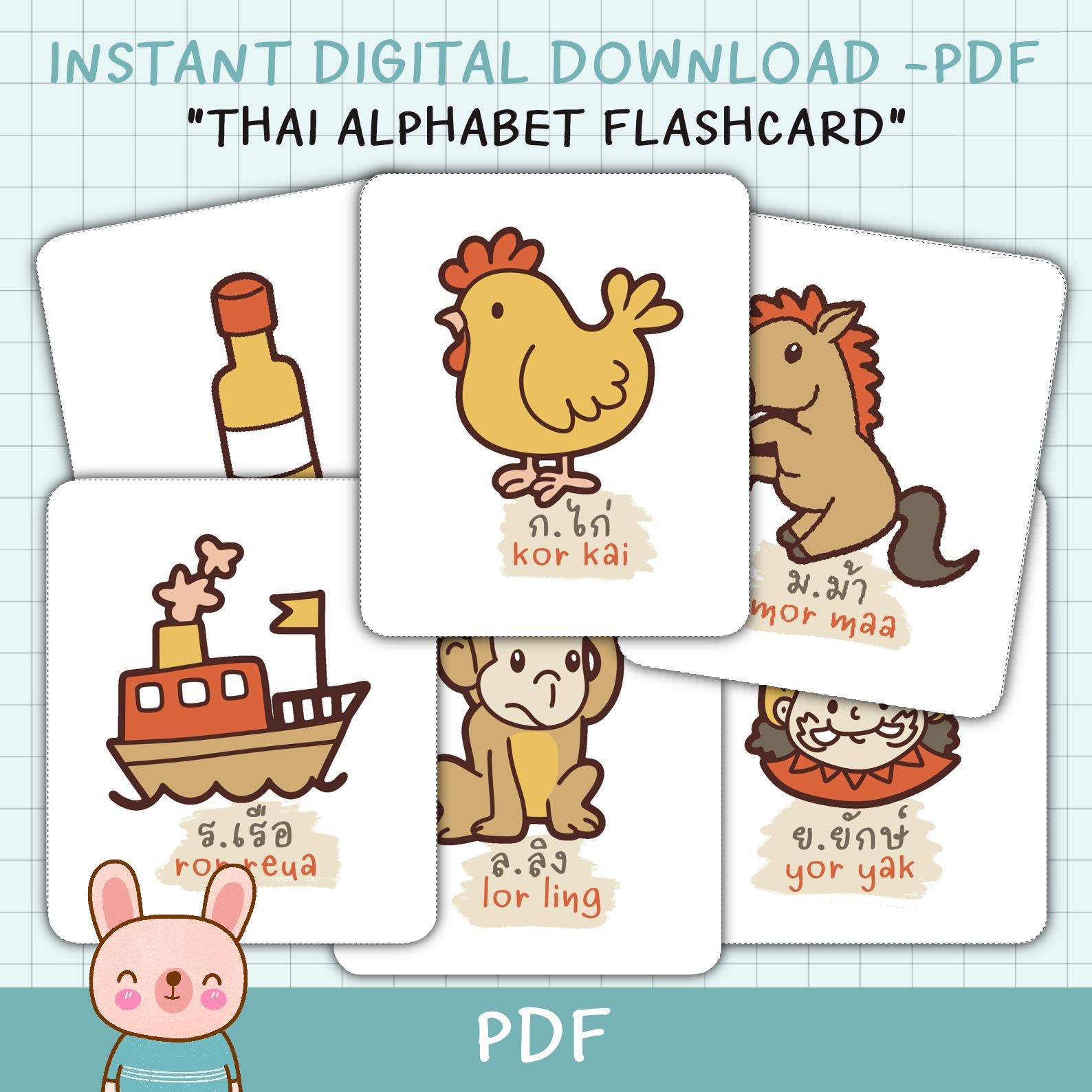 44 Thai Alphabets Flash Card With Picture, Learning Thai, Kor-kai, Thai ...
