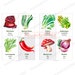 32 English-thai Vegetables Flashcard, Learning Thai, Montessori ...