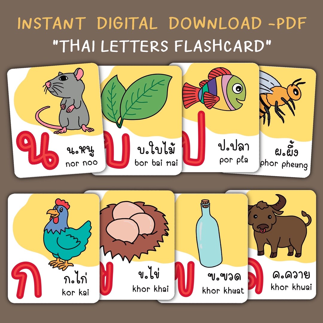 Thai Alphabets Flash Card With Picture Learning Thai for - Etsy