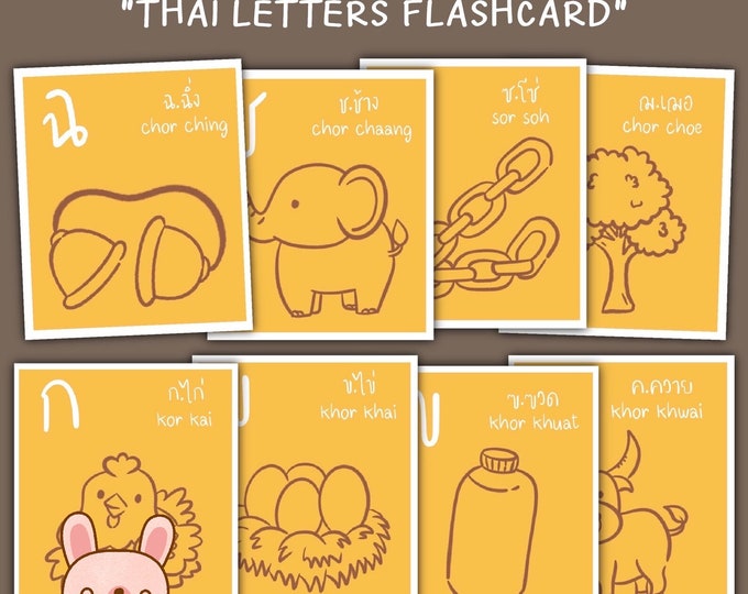 Thai Alphabet Consonants Flashcards DIGITAL DOWNLOAD | Study Thai ...