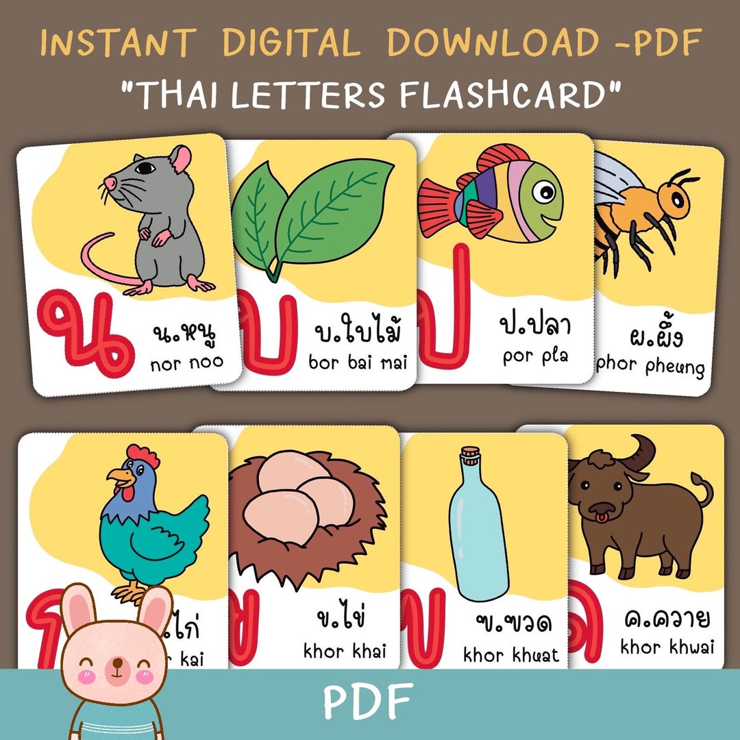 Thai Alphabets Flash Card With Picture, Learning Thai, for Kids ...