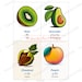 32 English-thai Fruits Flashcards, Learning Thai, Flashcards Pdf ...