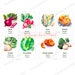 32 English-thai Vegetables Flashcard, Learning Thai, Montessori ...