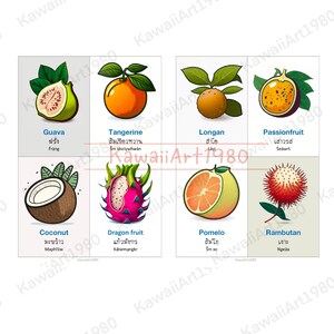 32 English-thai Fruits Flashcards, Learning Thai, Flashcards Pdf ...