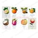 32 English-thai Fruits Flashcards, Learning Thai, Flashcards Pdf ...