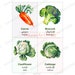 32 English-thai Vegetables Flashcard, Learning Thai, Montessori ...