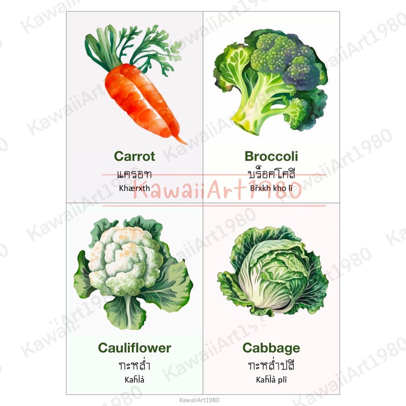 32 English-thai Vegetables Flashcard, Learning Thai, Montessori ...