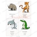 32 English-thai Animals Flash Cards, Printable Kindergarten Animal ...