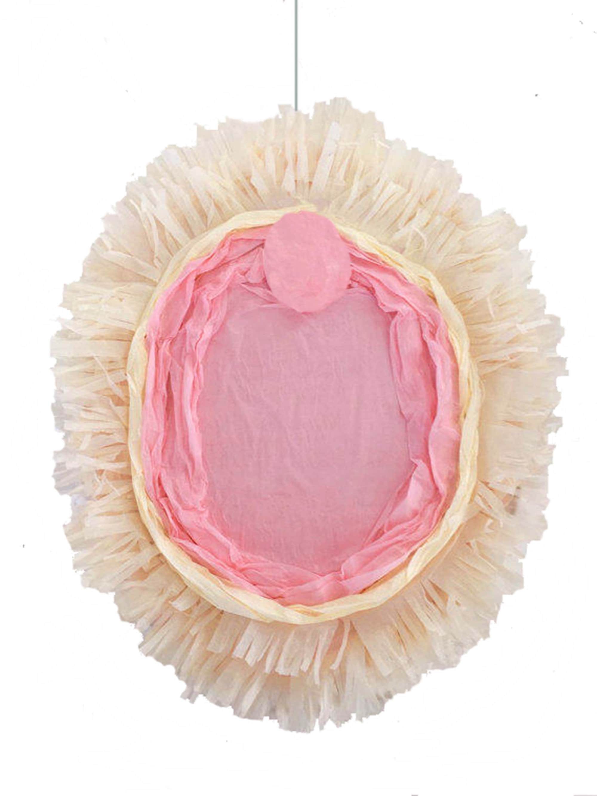 Vagina Pinata in Custom Colors for a Bachelorette Party, a Lesbian ...