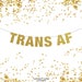Trans AF Banner, Transgender Party Decor, Transgender Banner, Trans ...