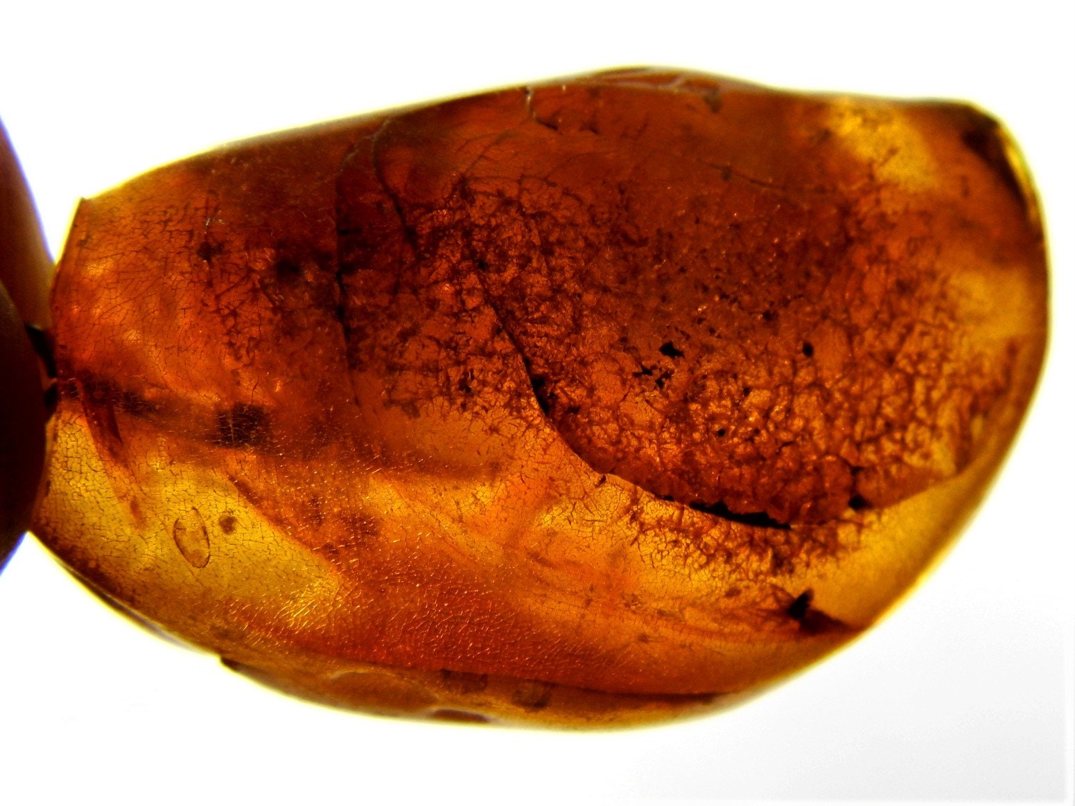 Old vintage genuine authentic Baltic Amber honey color stone pendant 10 ...