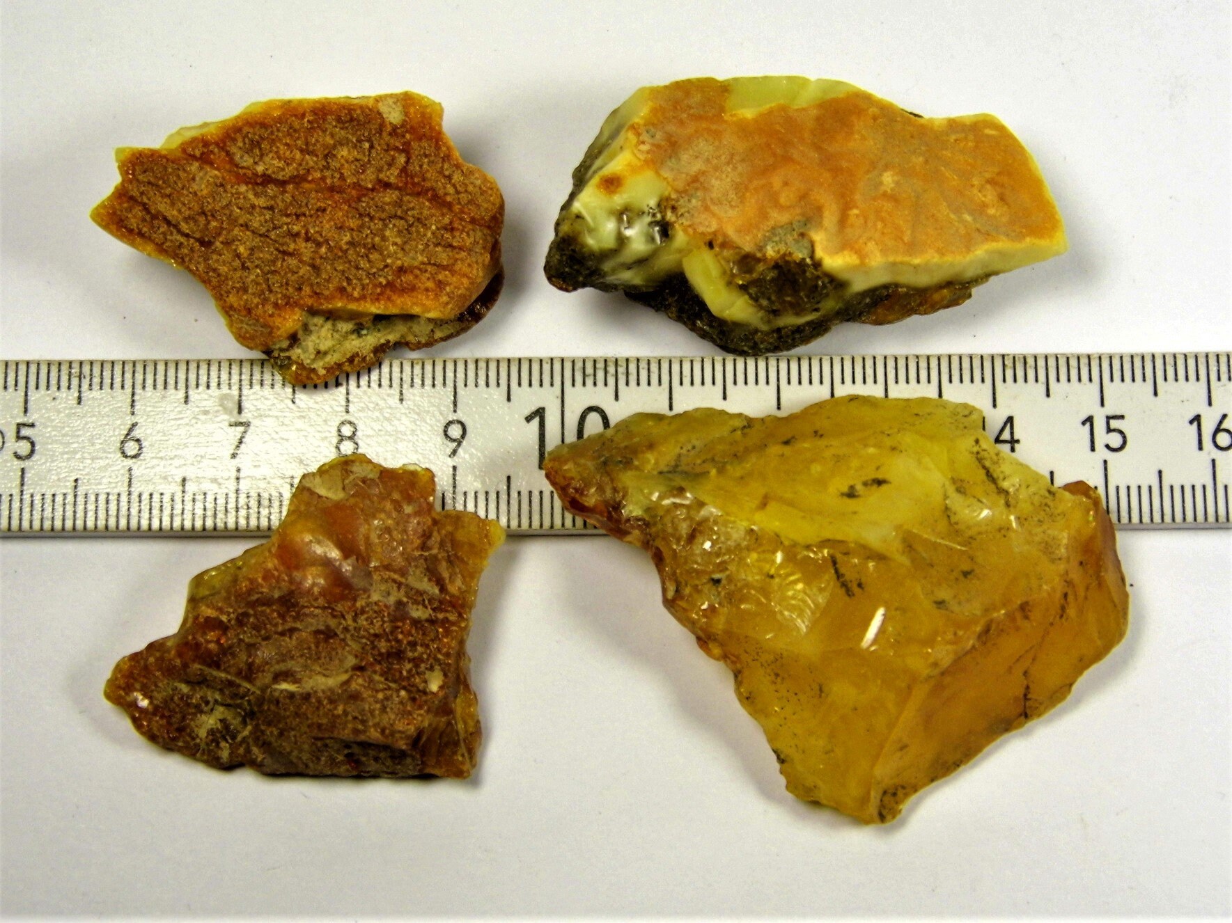 Lot of 4 natural genuine raw butterscotch egg yolk yellow Baltic Amber ...