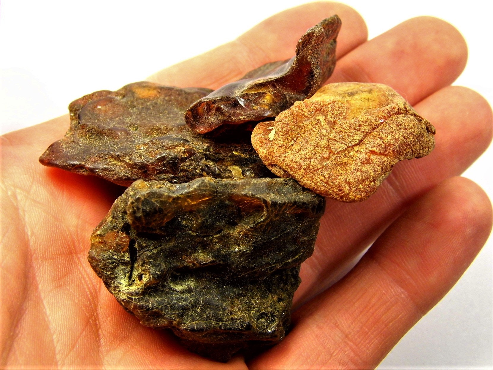Lot of 4 natural genuine raw Baltic Amber stones beads 30 gram ...