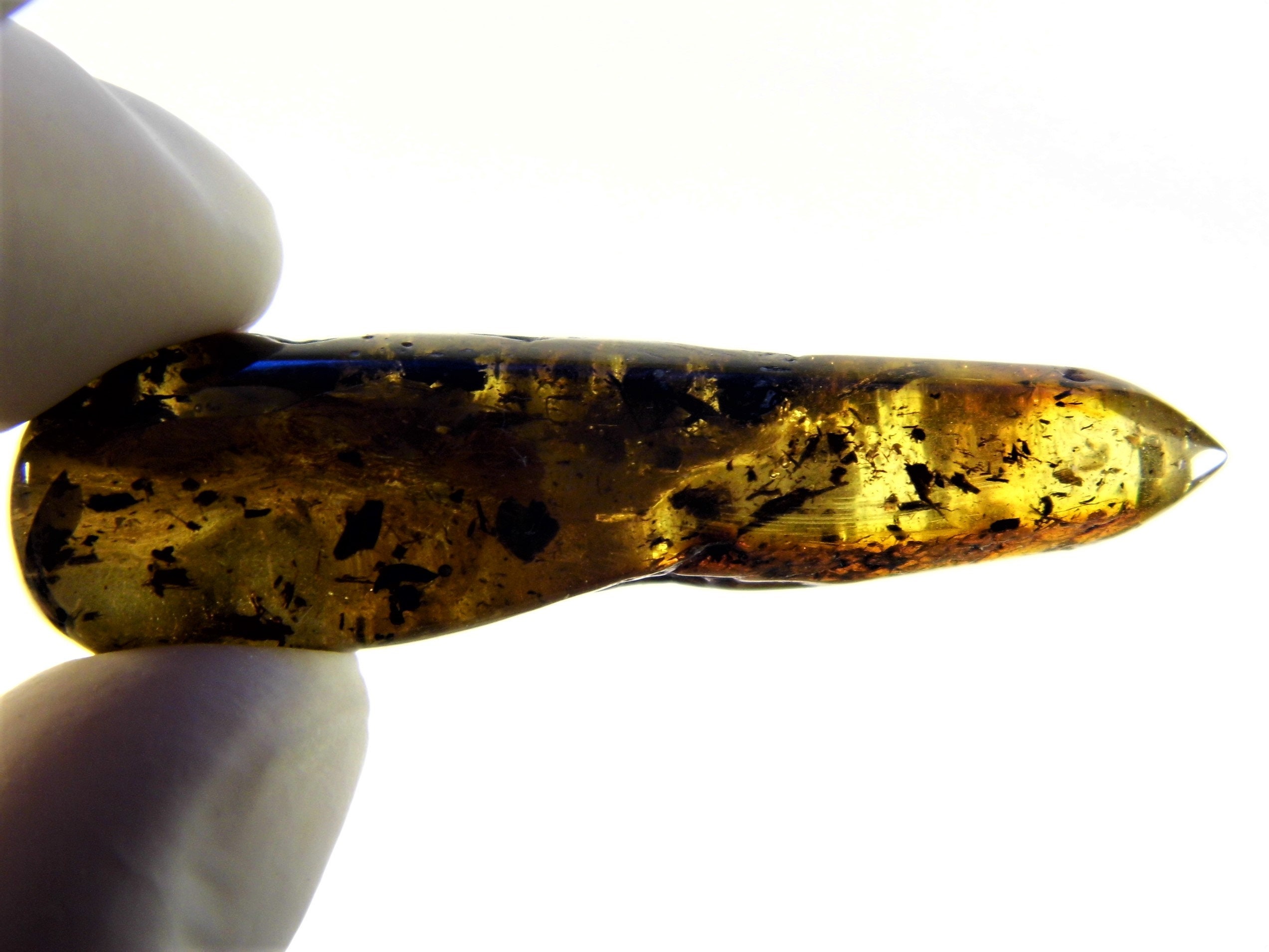 Natural genuine Baltic Amber point 4.5 grams polished honey ...