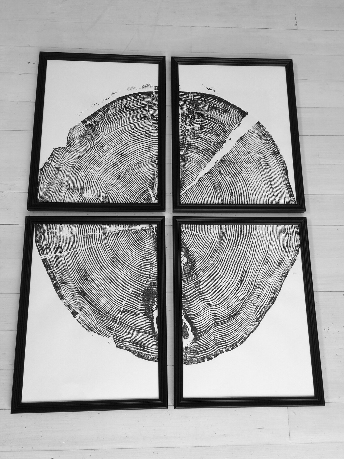 Sundance Canyon Utah Tree Ring Prints Set of 4 Prints - Etsy