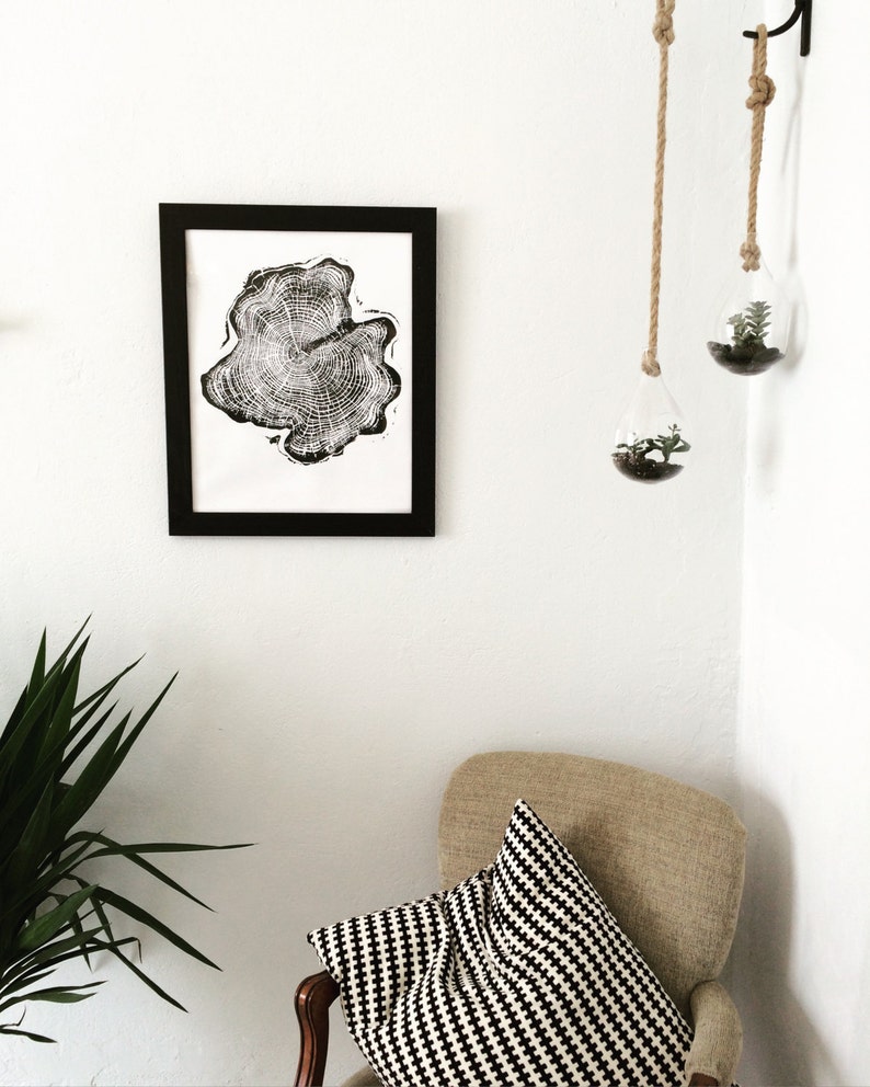 Alaskan Tree Ring Print Tongass Forest Cypress Tree Tree | Etsy