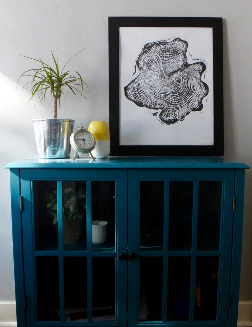 Alaskan Tree Ring Print Tongass Forest Cypress Tree Tree - Etsy