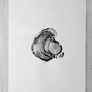 Tree Cookie Art, Tree Ring Print, Millcreek Canyon Utah, Pine Tree Art ...