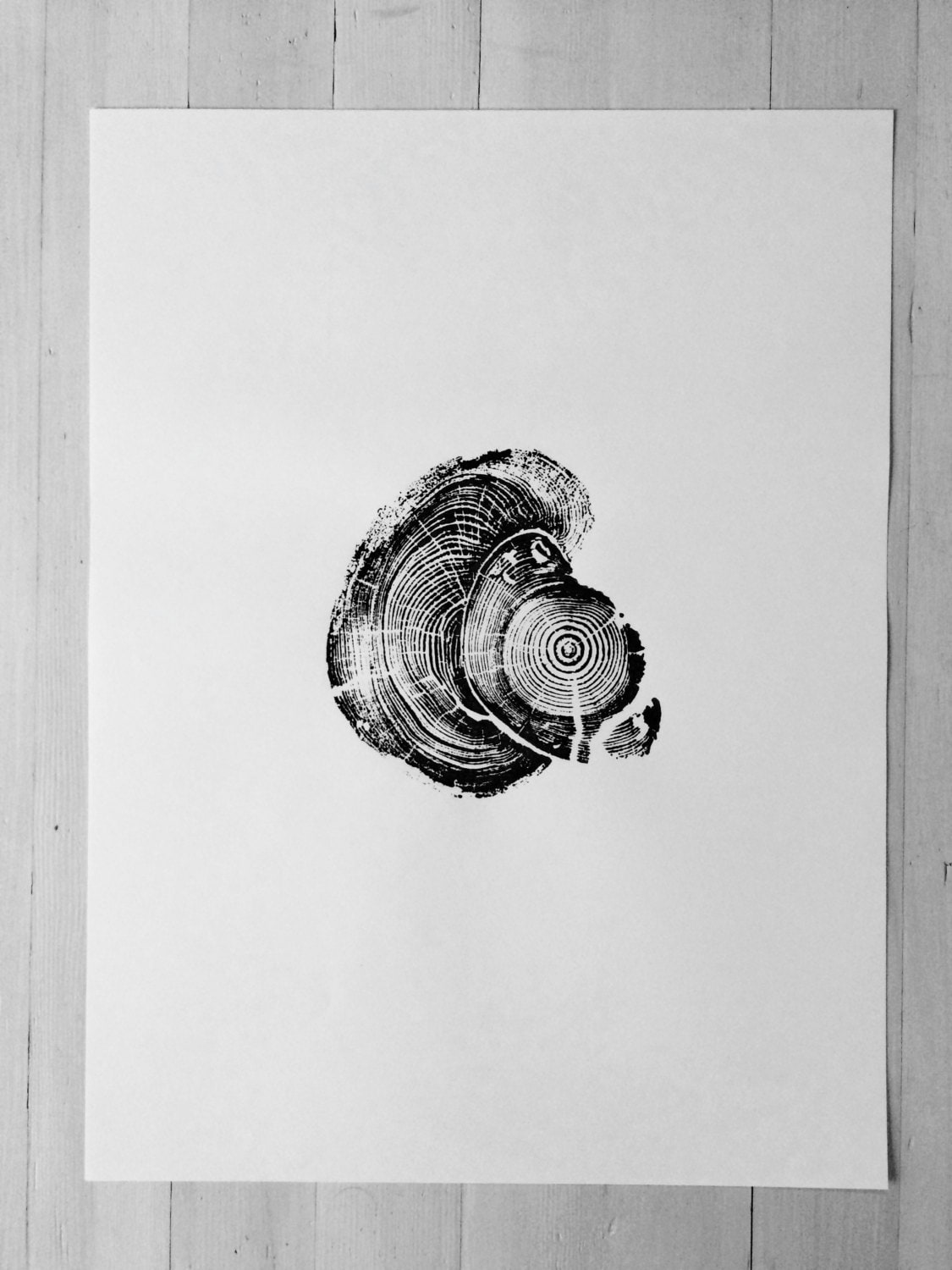 Tree Cookie Art Tree Ring Print Millcreek Canyon Utah Pine - Etsy