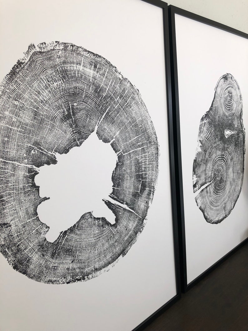 Iowa Oak Tree Ring Print. Original Woodblock Print Made From | Etsy