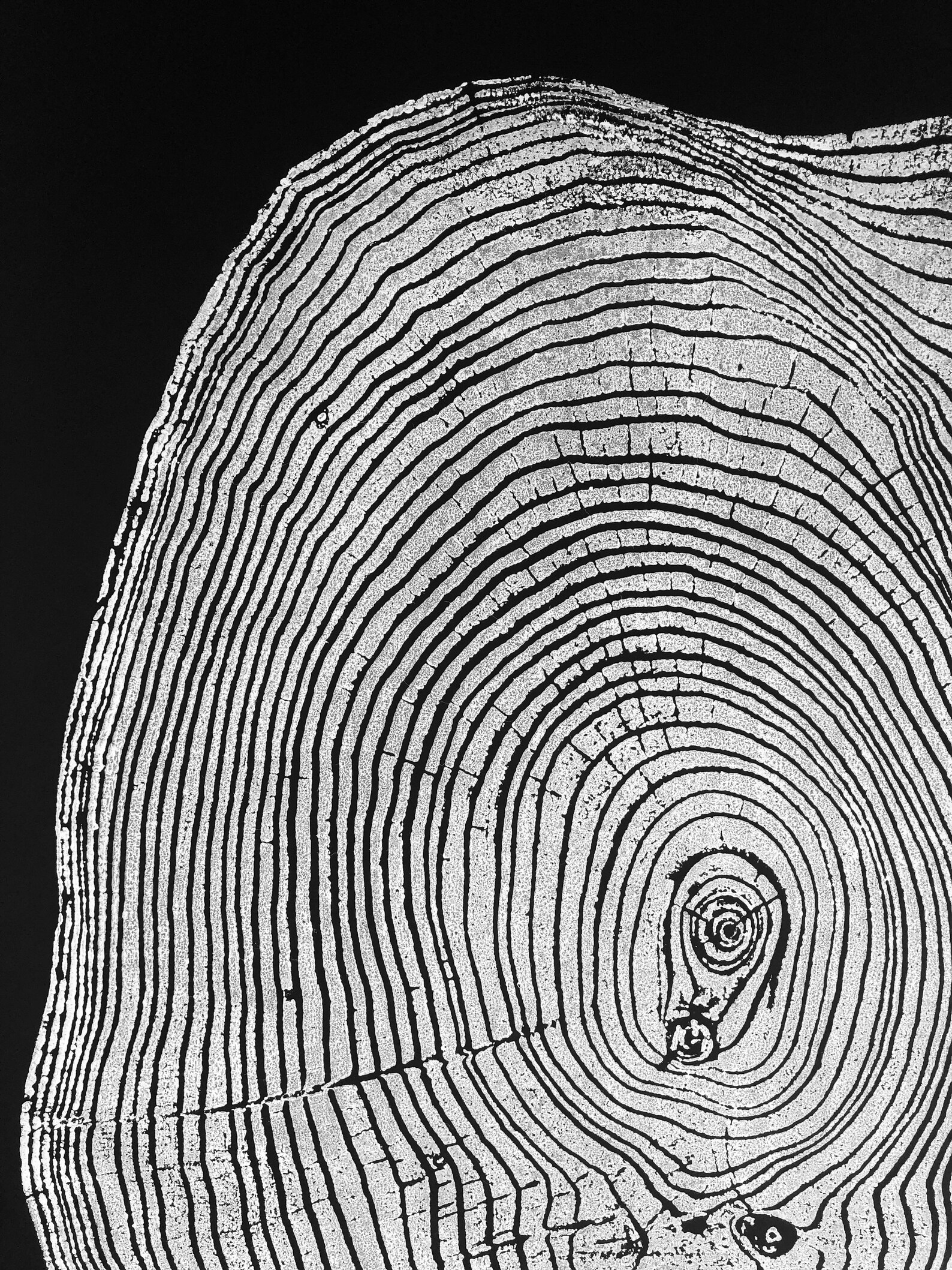 Mulberry Tree Ring Print Tree Ring Art Print Woodcut Real - Etsy